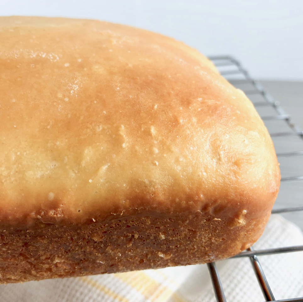 Making Amish Friendship Bread from a Starter – The Gephardts